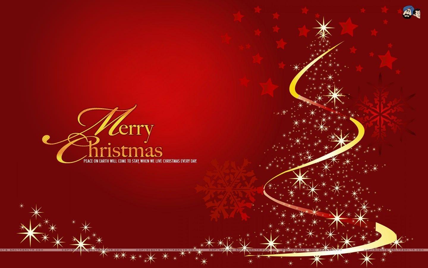 Christmas Tree Red Wallpapers - Top Free Christmas Tree Red Backgrounds ...