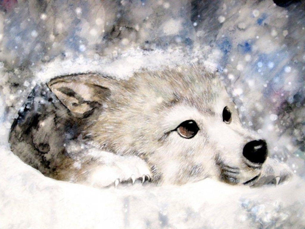 Christmas Wolf Wallpapers - Top Free Christmas Wolf Backgrounds ...