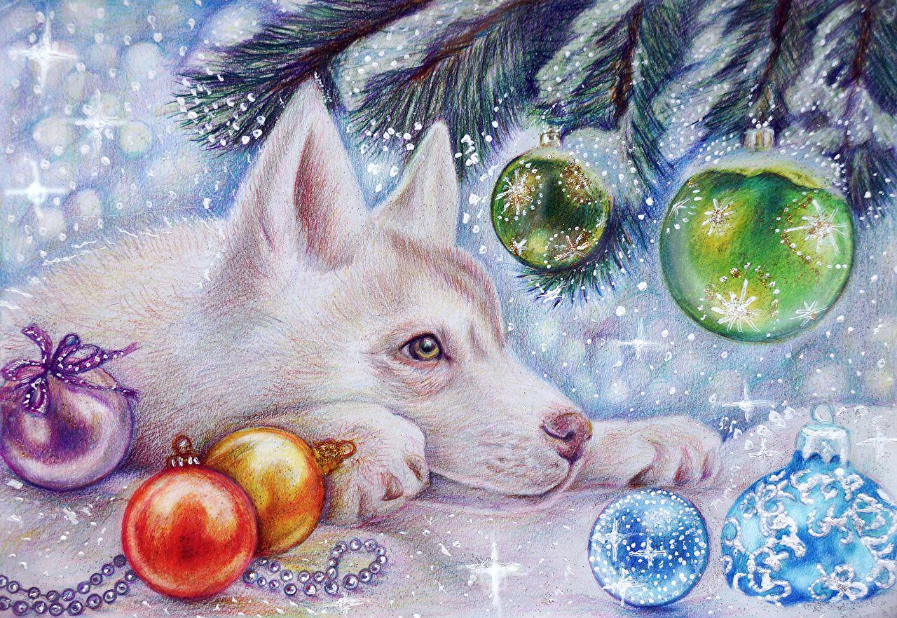 Christmas Wolf Wallpapers - Top Free Christmas Wolf Backgrounds ...