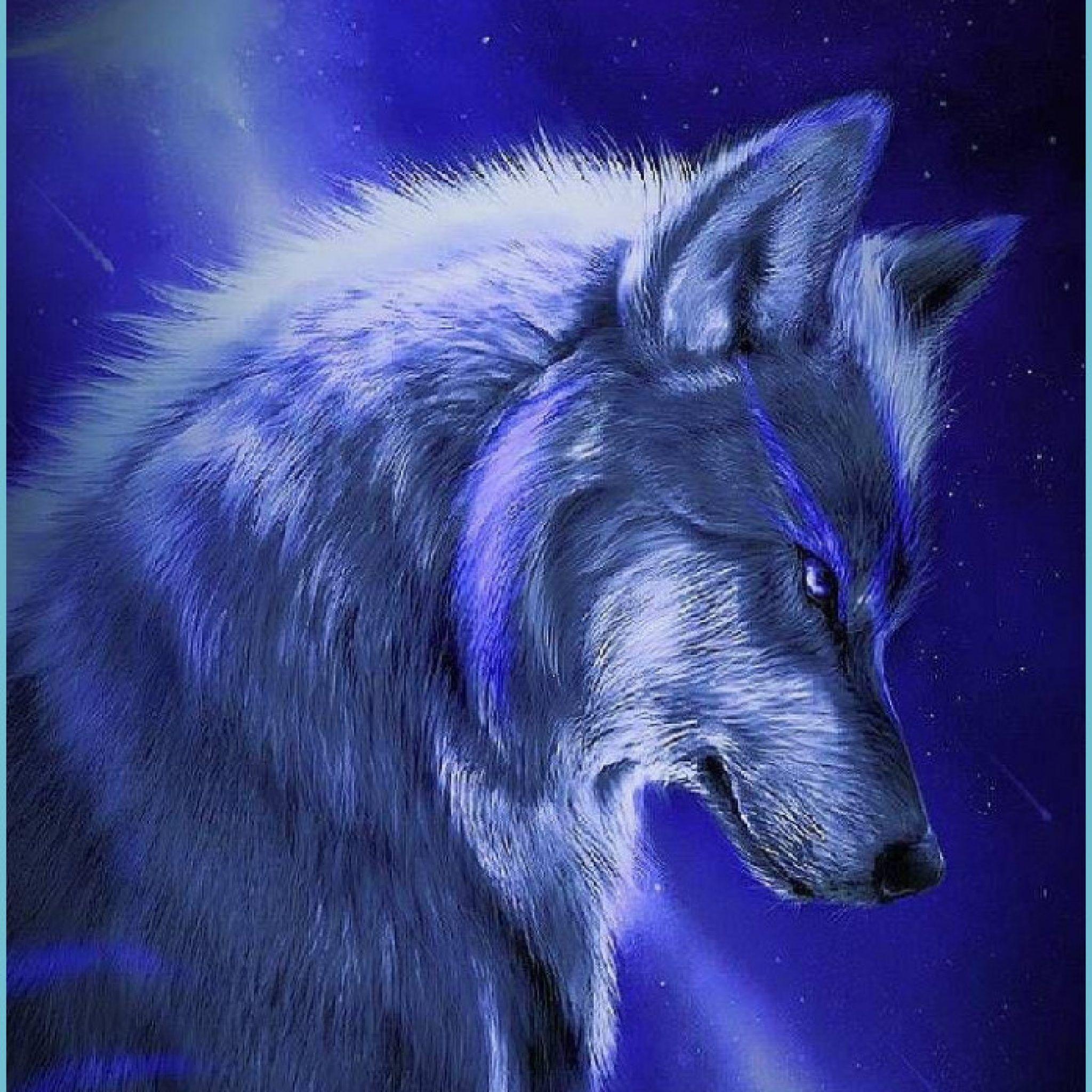 Amazing Wolf Wallpapers - Top Free Amazing Wolf Backgrounds ...