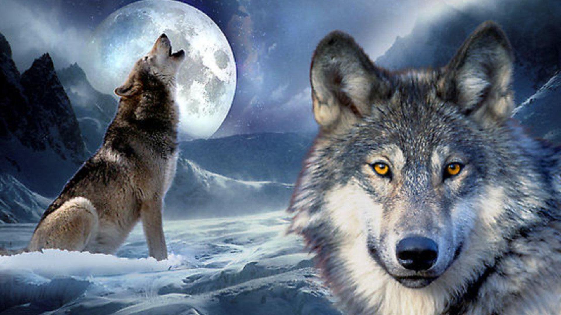 Christmas Wolves Wallpapers - Top Free Christmas Wolves Backgrounds ...