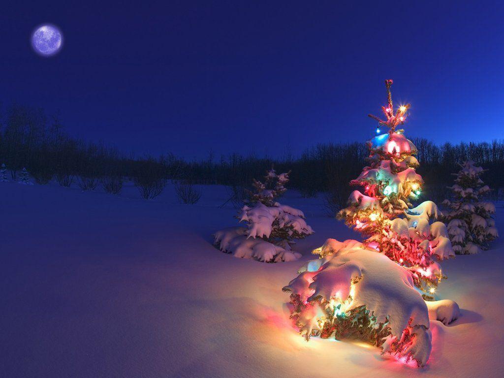 Christmas In Canada Wallpapers - Top Free Christmas In Canada ...