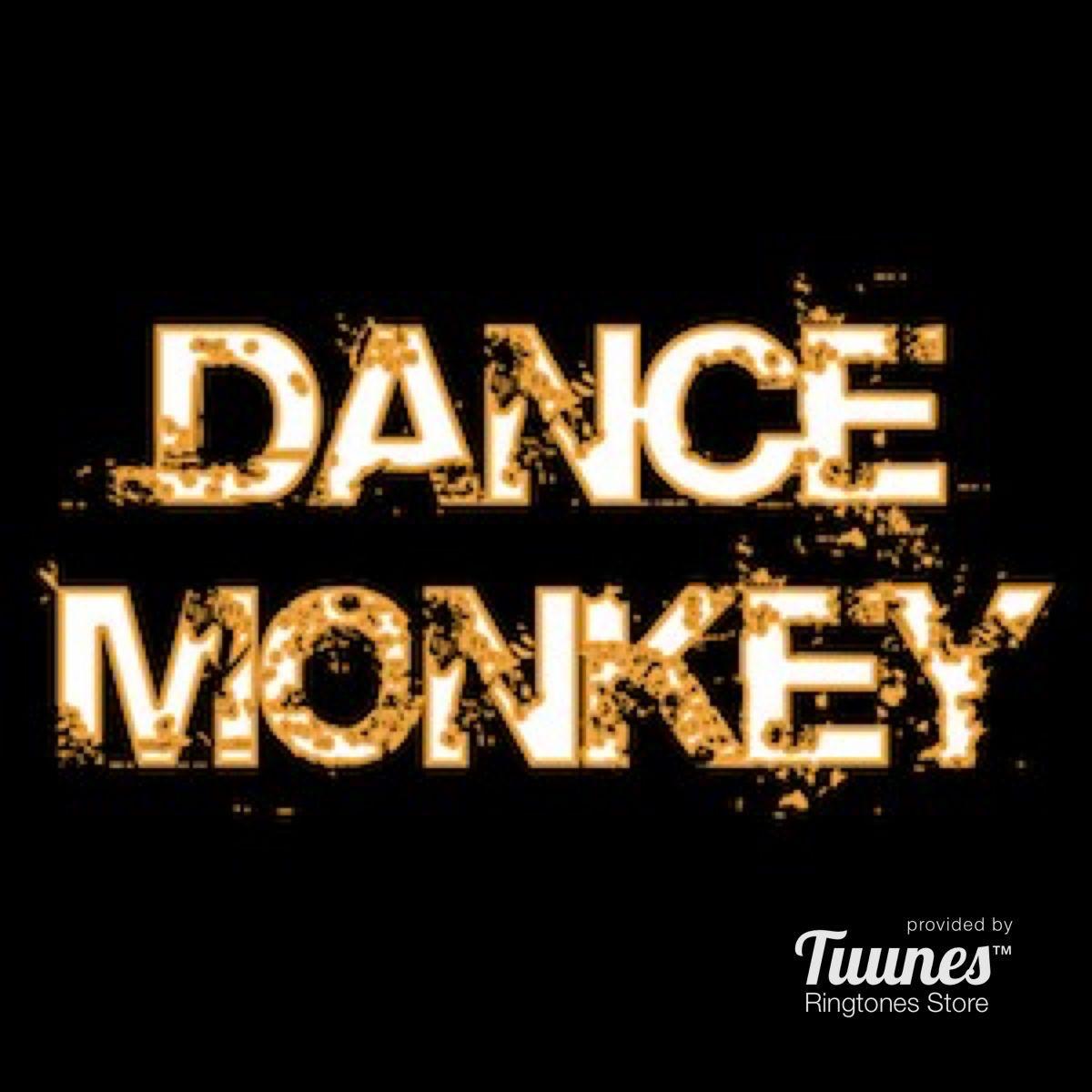 Dance Monkey Wallpapers - Top Free Dance Monkey Backgrounds ...
