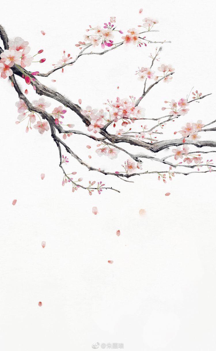 Sakura Art Wallpapers - Top Free Sakura Art Backgrounds - WallpaperAccess