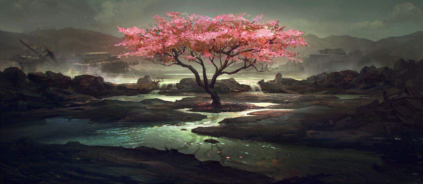 Sakura Art Wallpapers - Top Free Sakura Art Backgrounds - WallpaperAccess