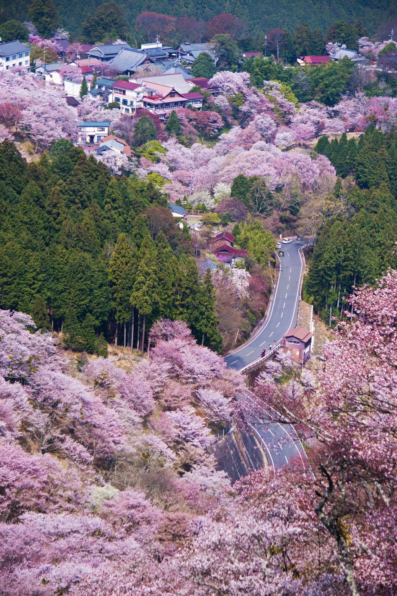 Mount Yoshino Wallpapers - Top Free Mount Yoshino Backgrounds ...