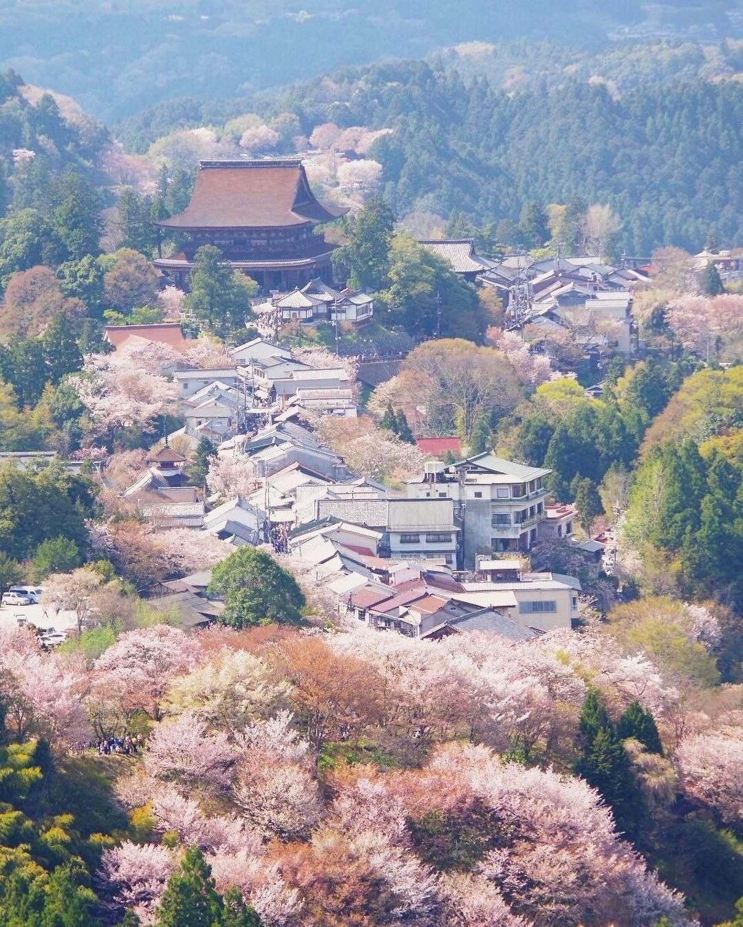 Mount Yoshino Wallpapers - Top Free Mount Yoshino Backgrounds ...