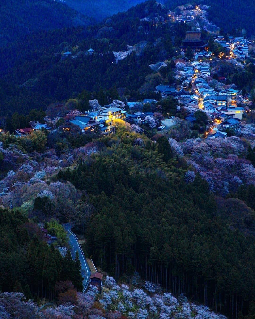 Mount Yoshino Wallpapers - Top Free Mount Yoshino Backgrounds ...