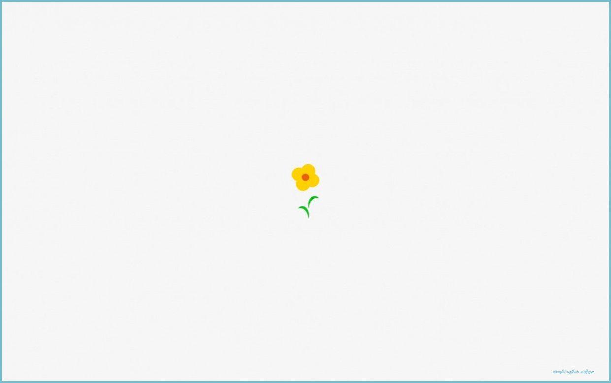 Minimalist Flower Computer Wallpapers - Top Free Minimalist Flower ...