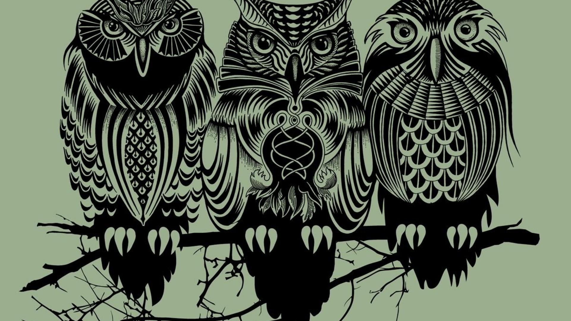 Owl Laptop Wallpapers - Top Free Owl Laptop Backgrounds - WallpaperAccess