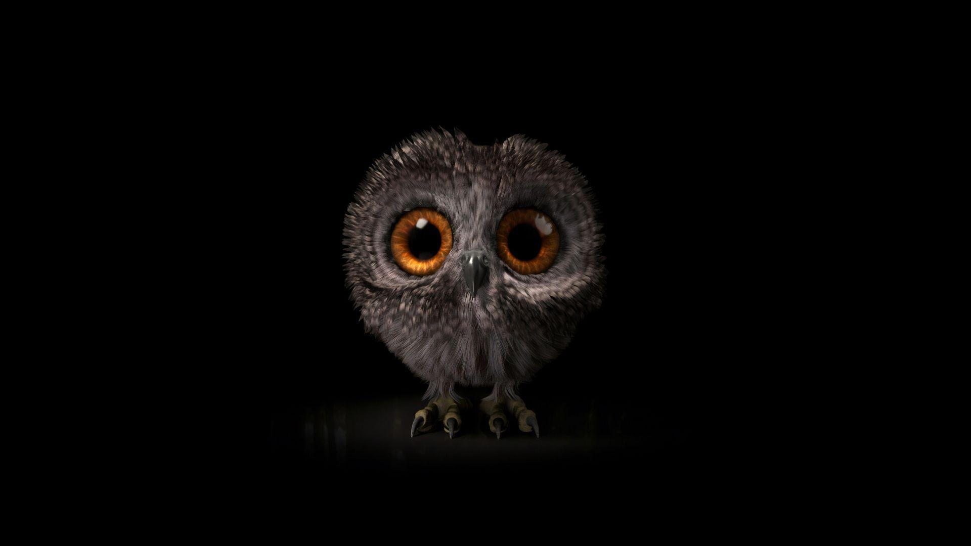 Owl Laptop Wallpapers - Top Free Owl Laptop Backgrounds - WallpaperAccess