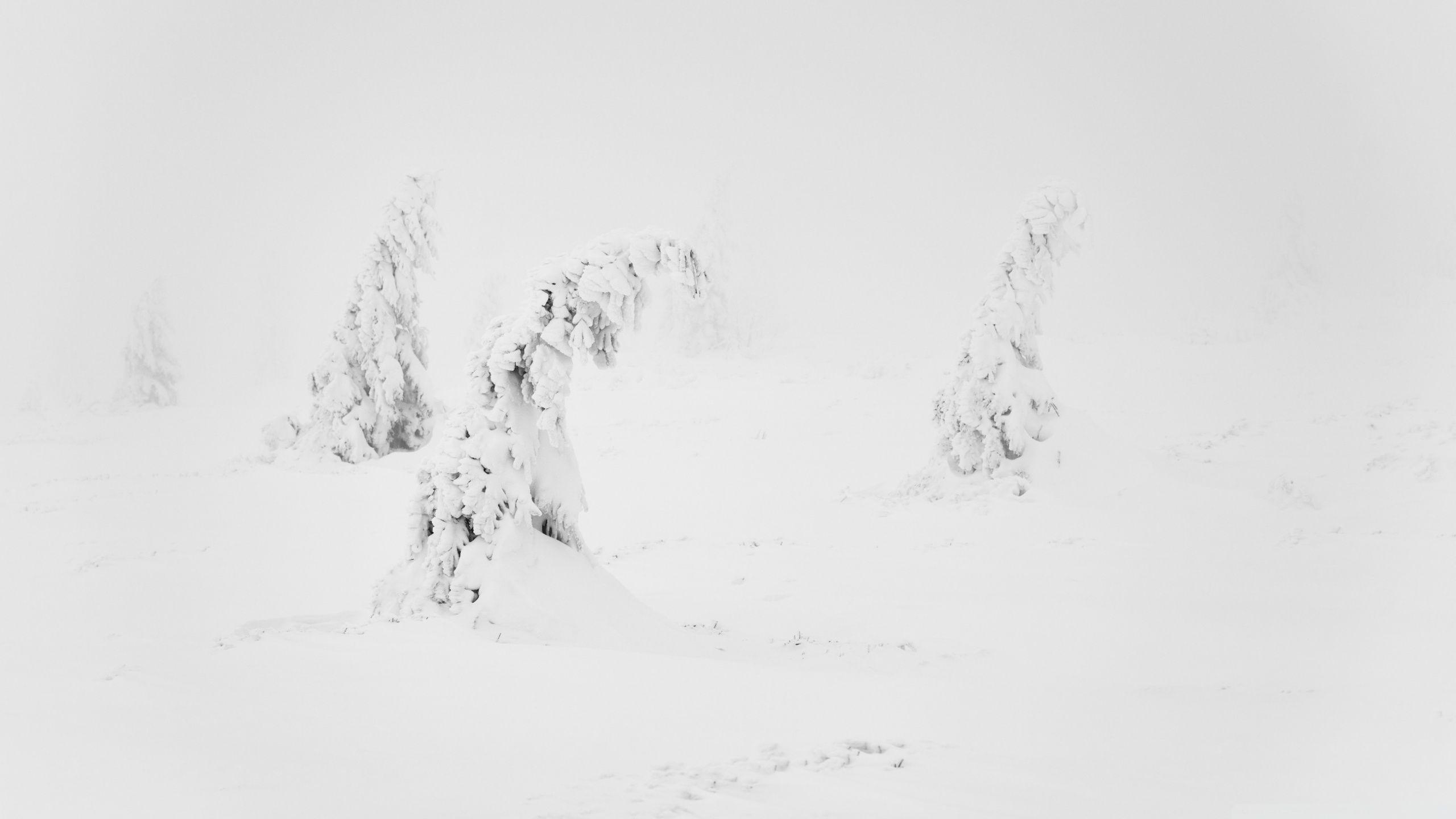 Winter Aesthetic Desktop Wallpapers - Top Free Winter Aesthetic Desktop ...
