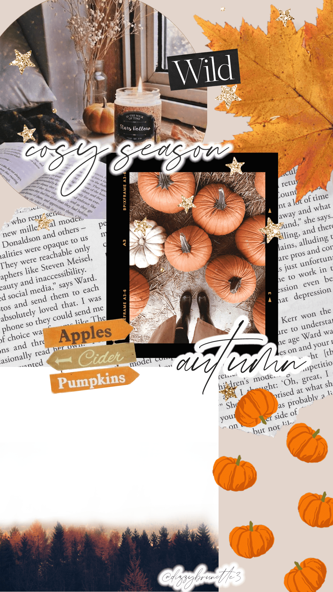 Pumpkin Phone Wallpapers - Top Free Pumpkin Phone Backgrounds ...