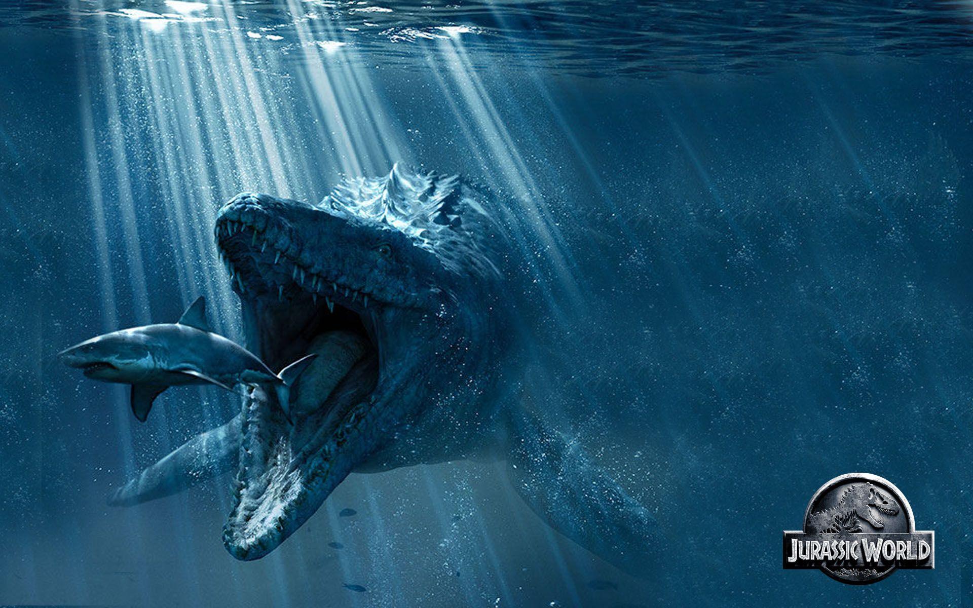 Mosasaur Wallpapers - Top Free Mosasaur Backgrounds - WallpaperAccess