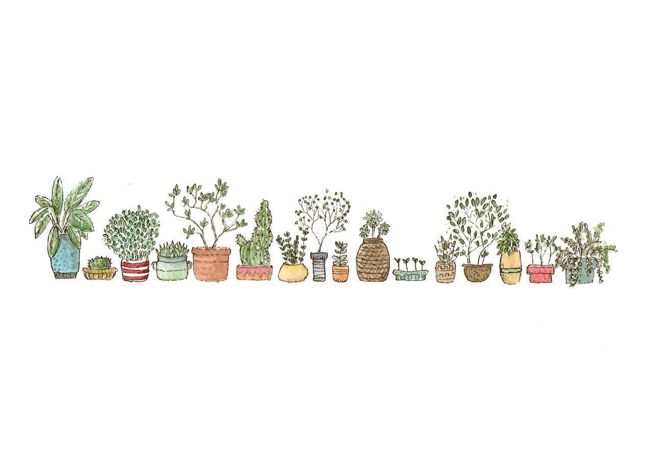 Minimalist Tumblr Plants Desktop Wallpapers - Top Free Minimalist ...