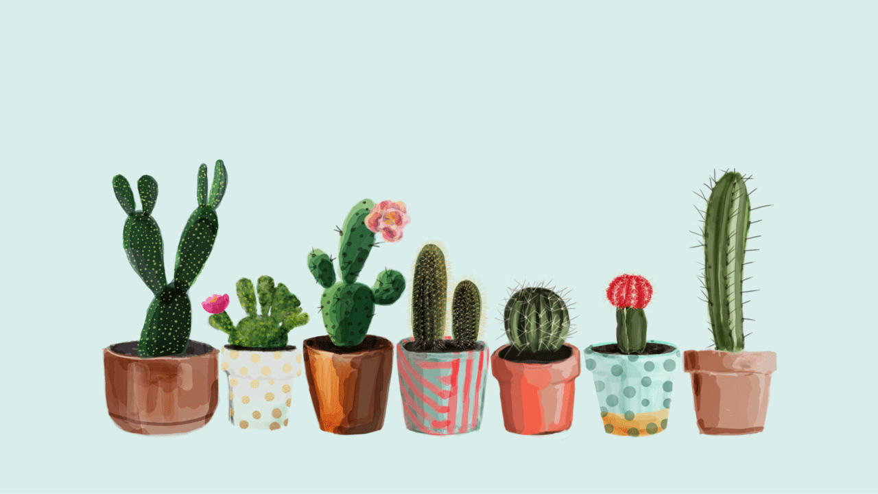 Cactus Aesthetic Computer Wallpapers - Top Free Cactus Aesthetic ...
