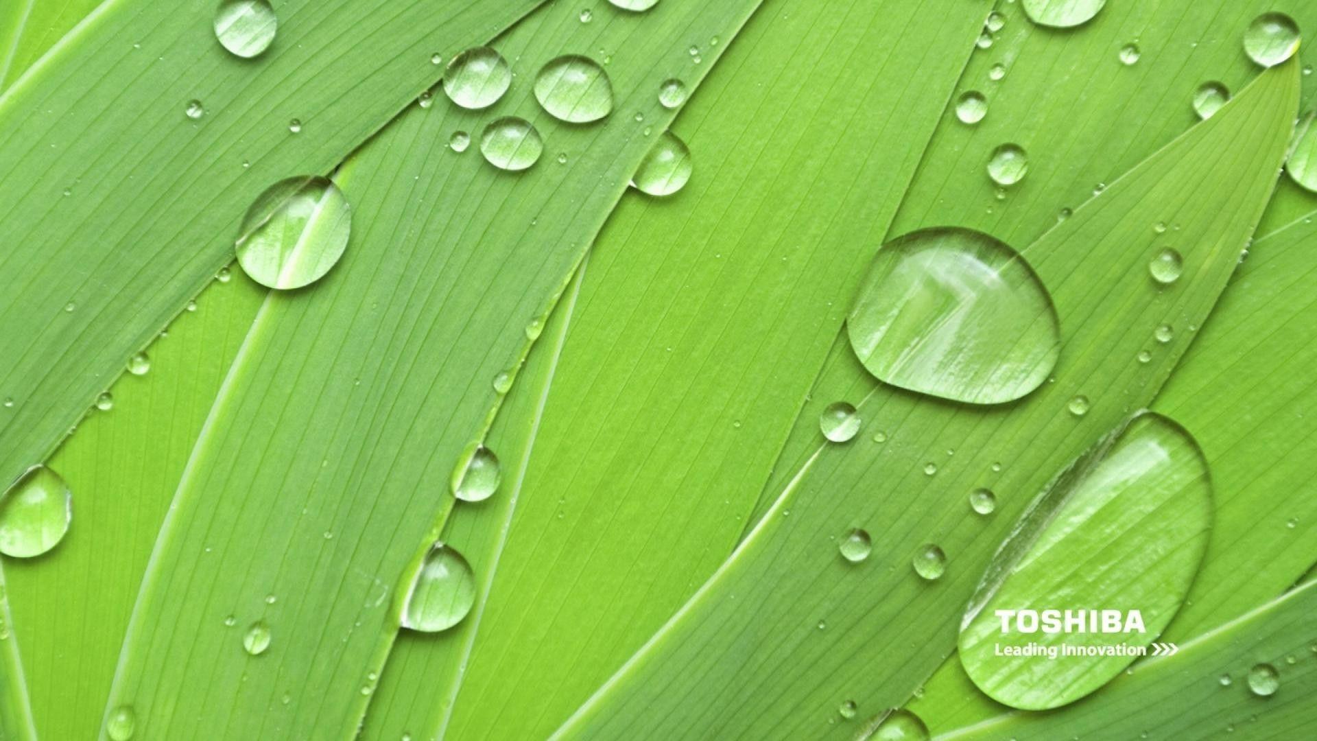 Cool Toshiba Wallpapers - Top Free Cool Toshiba Backgrounds ...