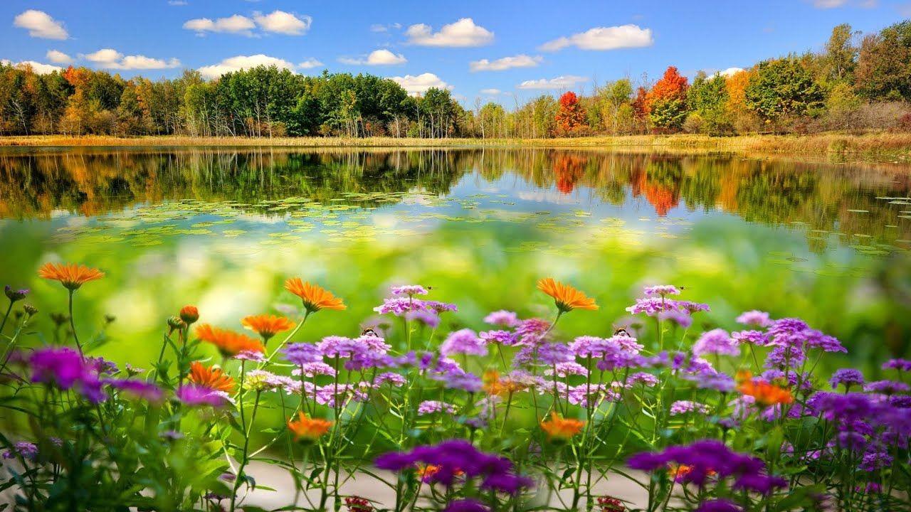 High Resolution Nature Wallpapers - Top Free High Resolution Nature ...