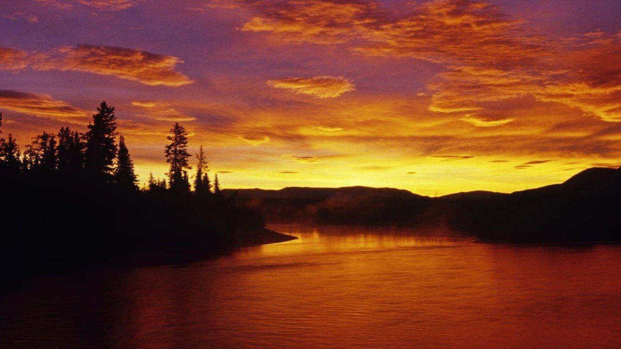 Boreal Forest Wallpapers - Top Free Boreal Forest Backgrounds ...