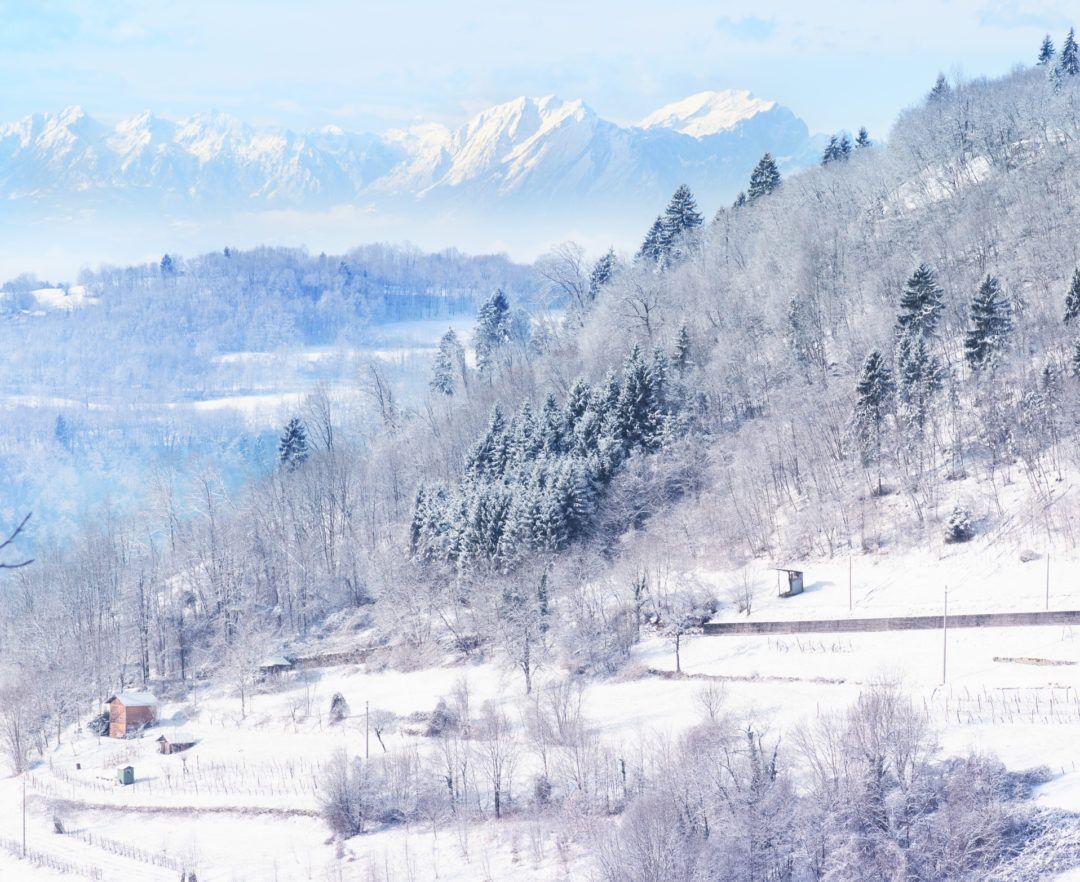 Boreal Forest Wallpapers - Top Free Boreal Forest Backgrounds ...