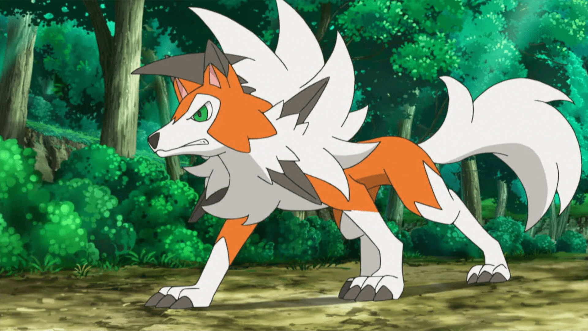 Pokemon Lycanroc Wallpapers - Top Free Pokemon Lycanroc Backgrounds ...
