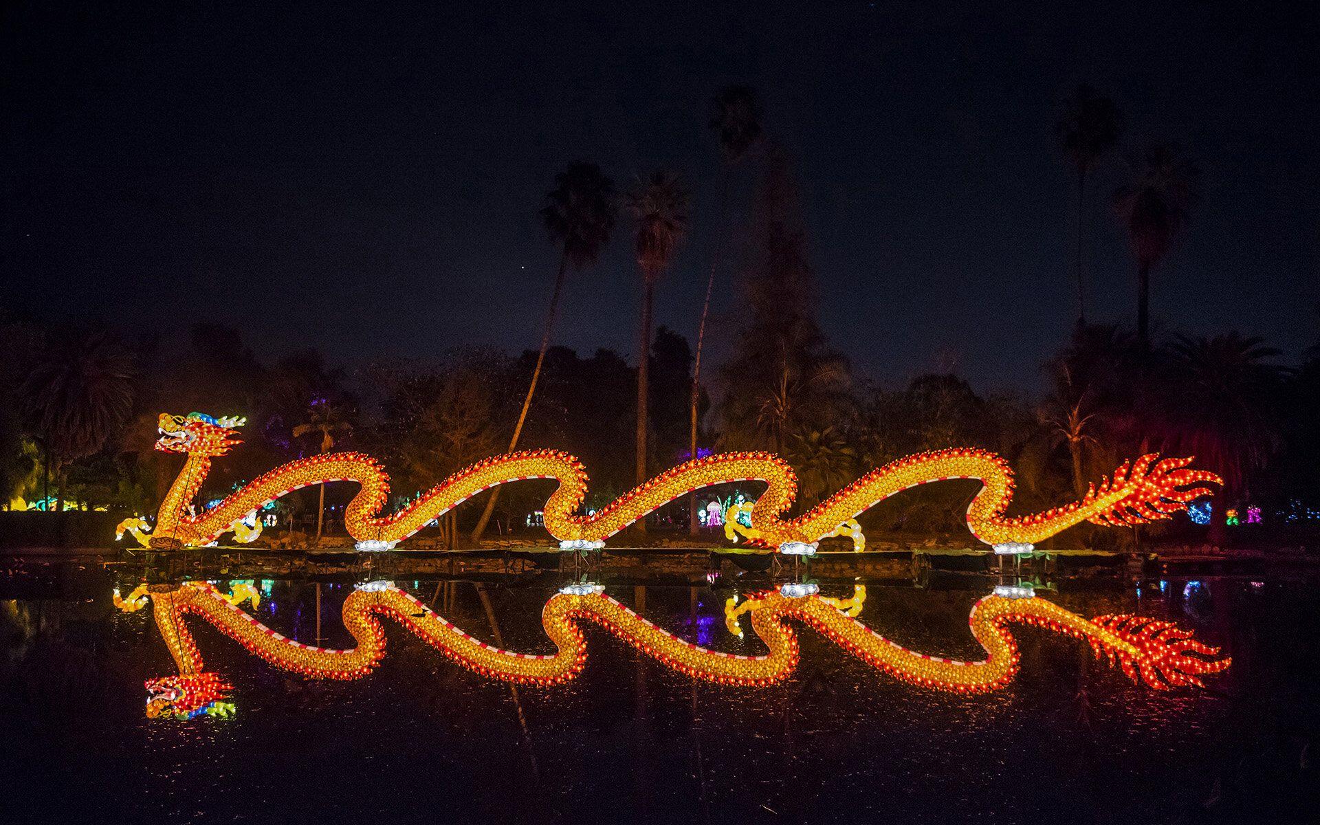 Moonlight Forest Wallpapers - Top Free Moonlight Forest Backgrounds ...