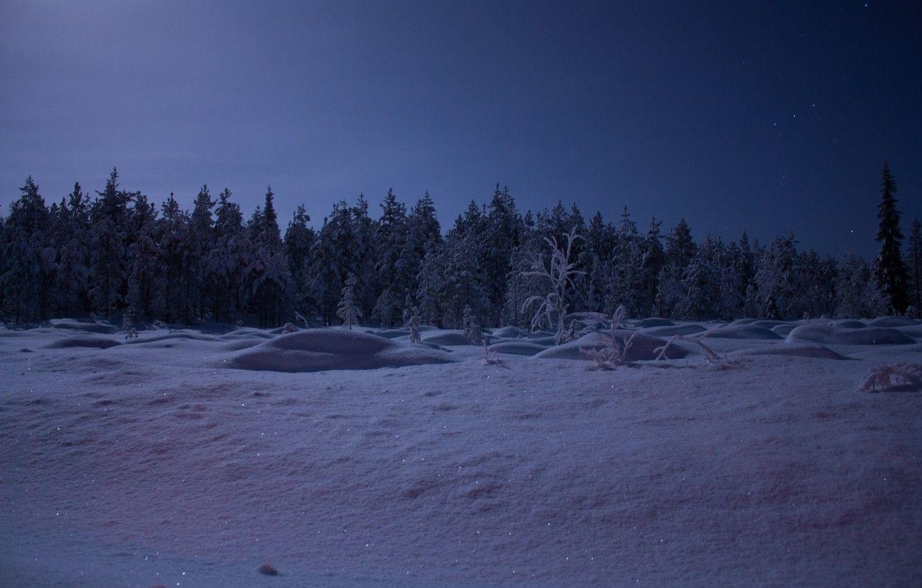 Moonlight Forest Wallpapers - Top Free Moonlight Forest Backgrounds ...
