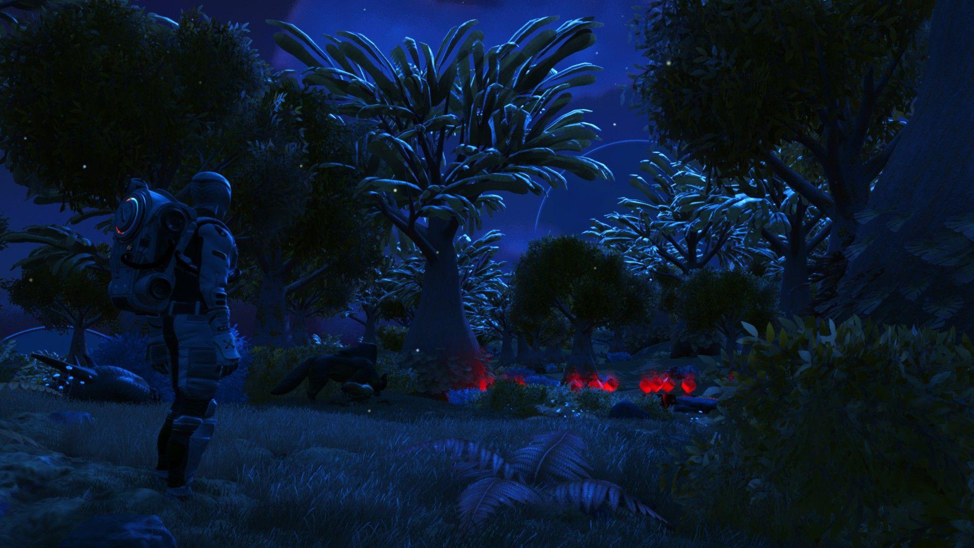 Moonlight Forest Wallpapers - Top Free Moonlight Forest Backgrounds ...