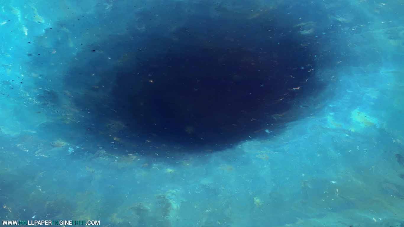 Transformation Wallpapers - Top Free Transformation Backgrounds ...