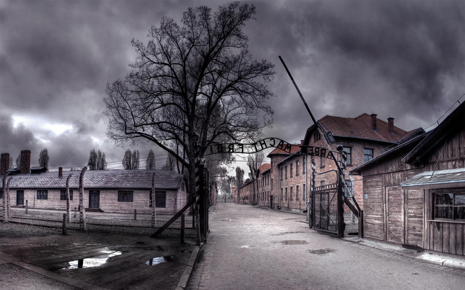 Concentration Wallpapers - Top Free Concentration Backgrounds ...