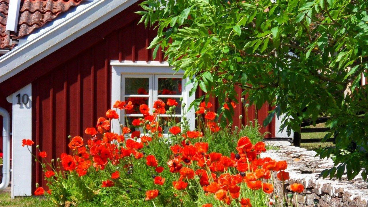 Cozy Spring Wallpapers - Top Free Cozy Spring Backgrounds - WallpaperAccess