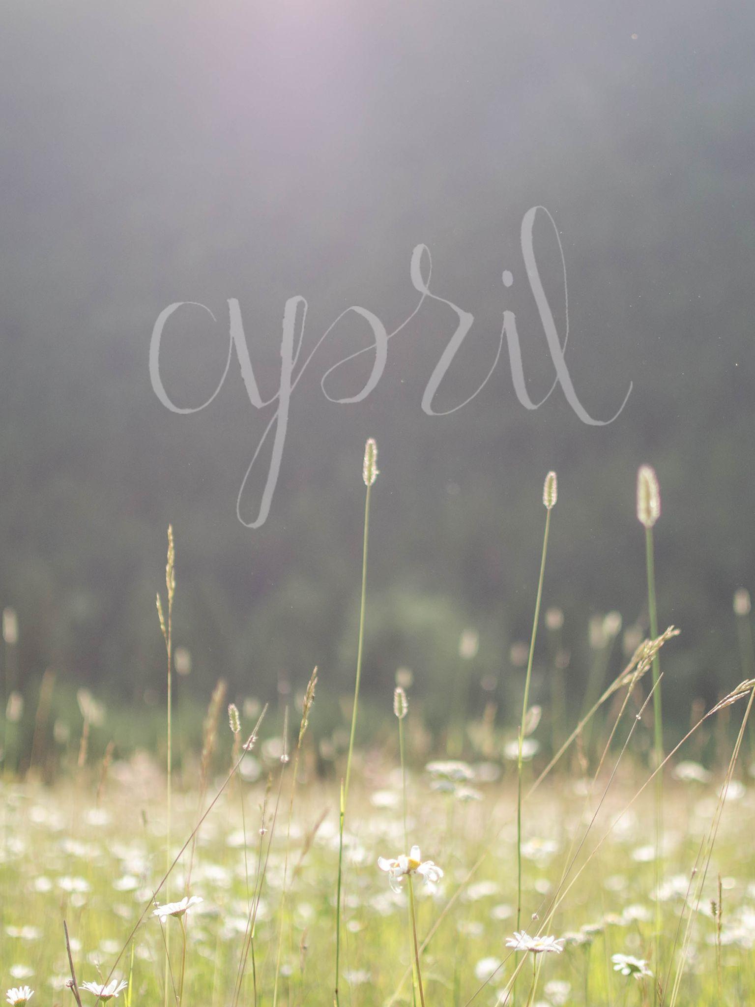 Cozy Spring Wallpapers - Top Free Cozy Spring Backgrounds - WallpaperAccess