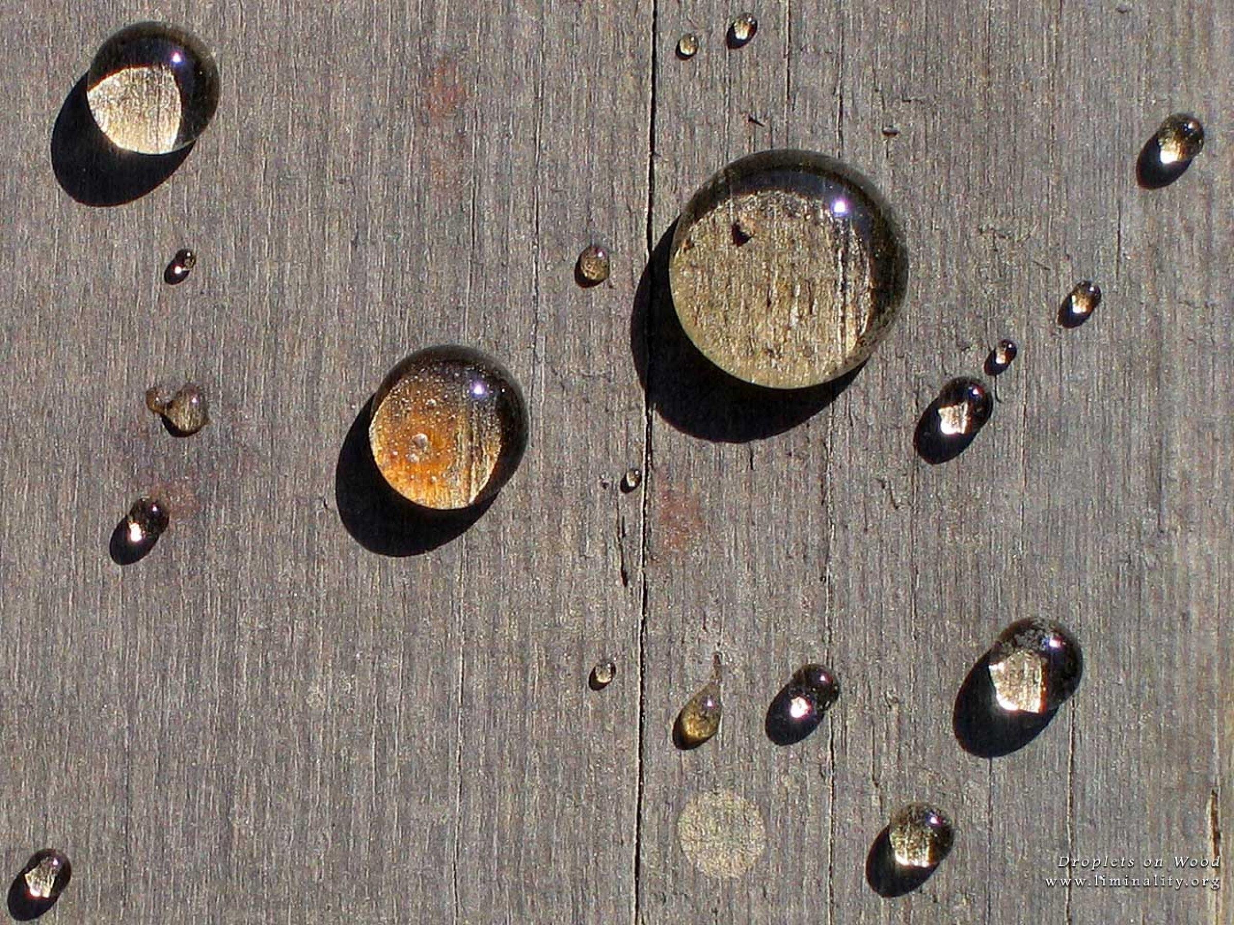 Damp Wallpapers - Top Free Damp Backgrounds - WallpaperAccess