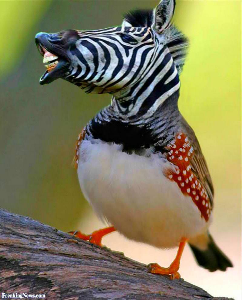 Morphing Wallpapers - Top Free Morphing Backgrounds - WallpaperAccess