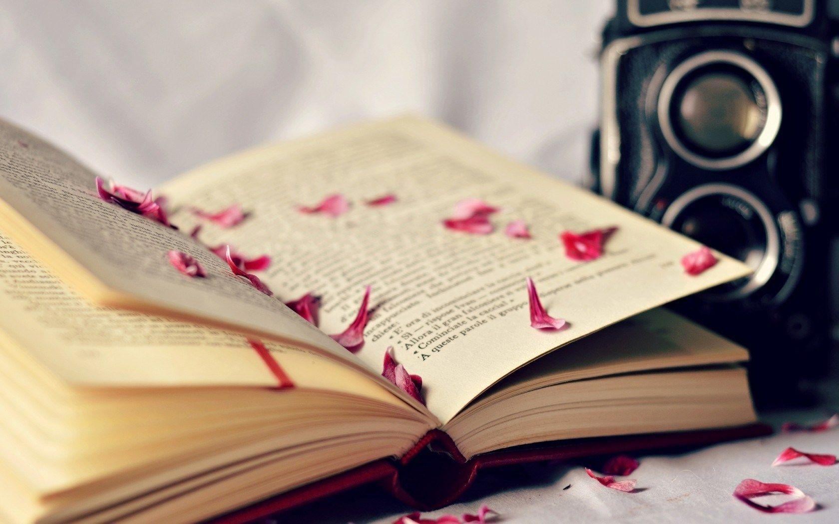 Beautiful Books Wallpapers - Top Free Beautiful Books Backgrounds ...
