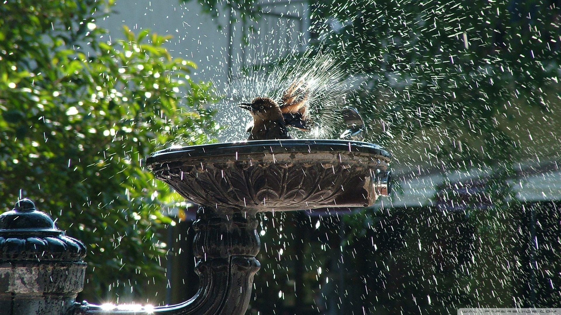 Hot Summer Wallpapers - Top Free Hot Summer Backgrounds - WallpaperAccess