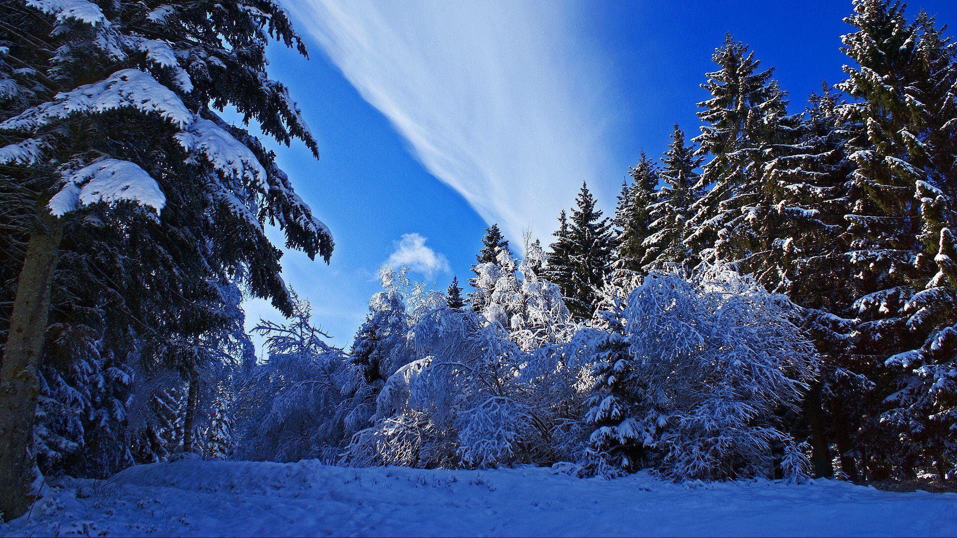 Snow Forest 1920X1080 Wallpapers - Top Free Snow Forest 1920X1080 ...