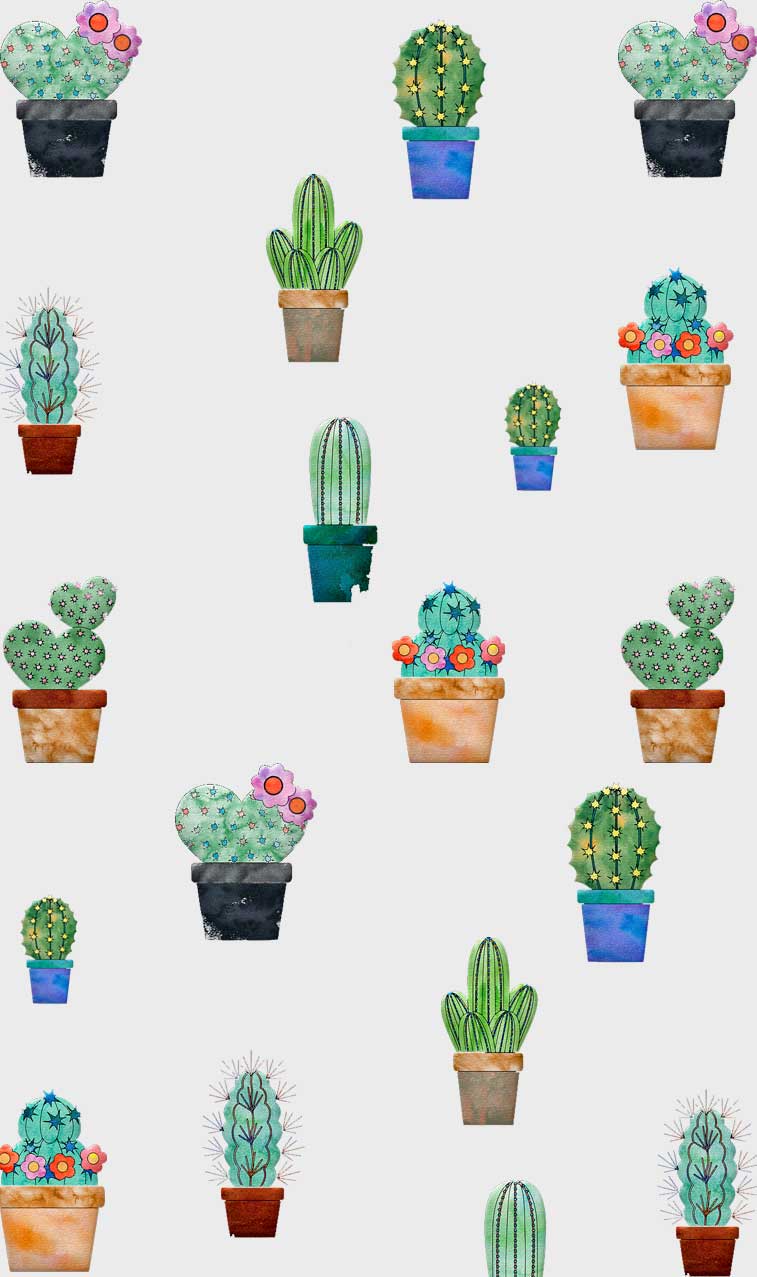 Pretty Cactus Wallpapers - Top Free Pretty Cactus Backgrounds ...