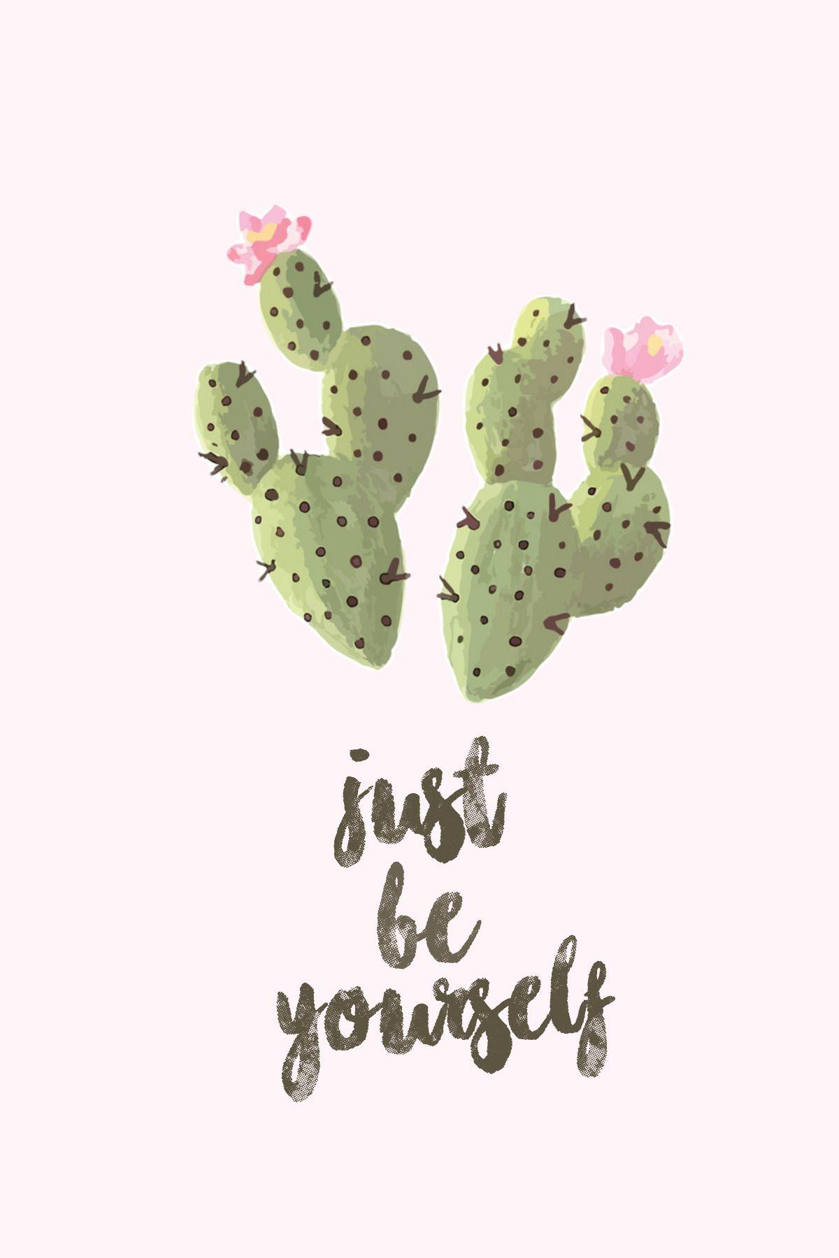 Pretty Cactus Wallpapers - Top Free Pretty Cactus Backgrounds ...