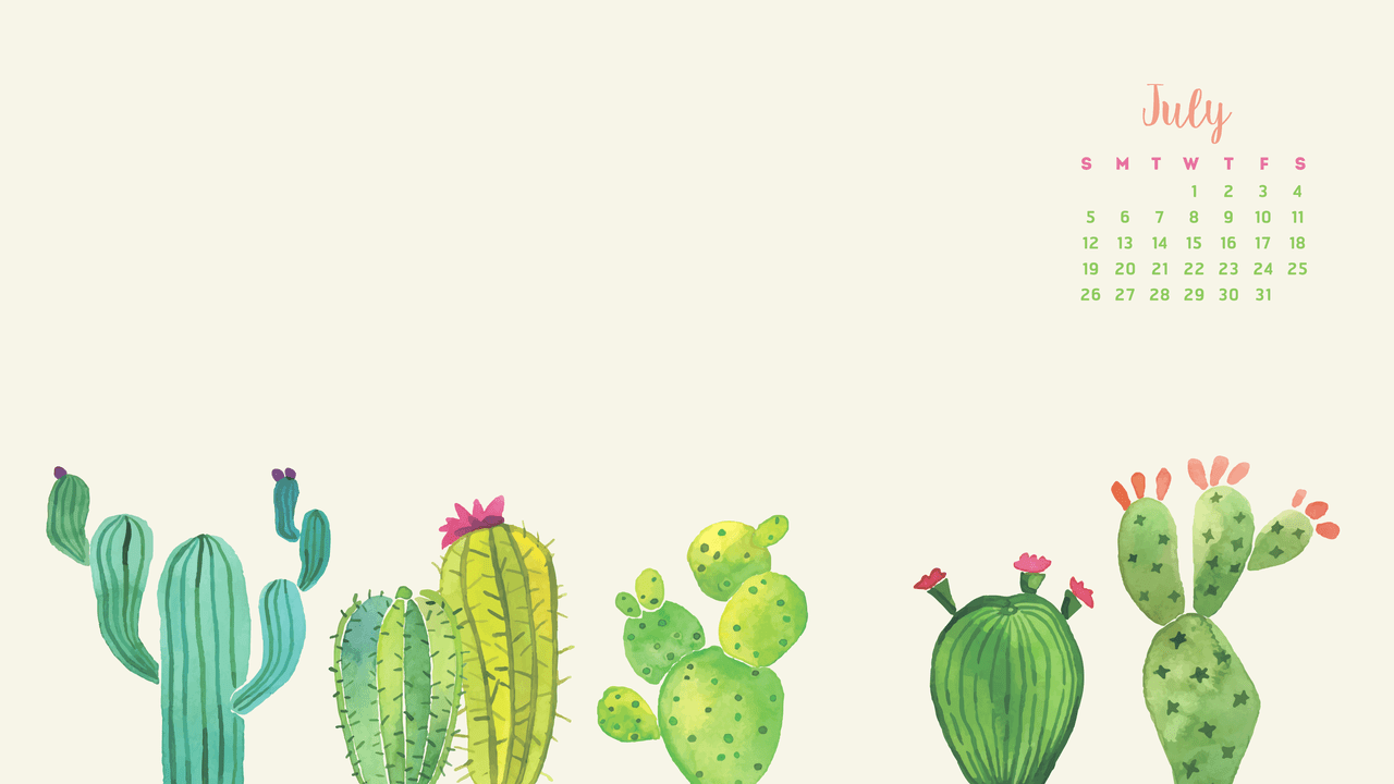 Pretty Cactus Wallpapers - Top Free Pretty Cactus Backgrounds ...