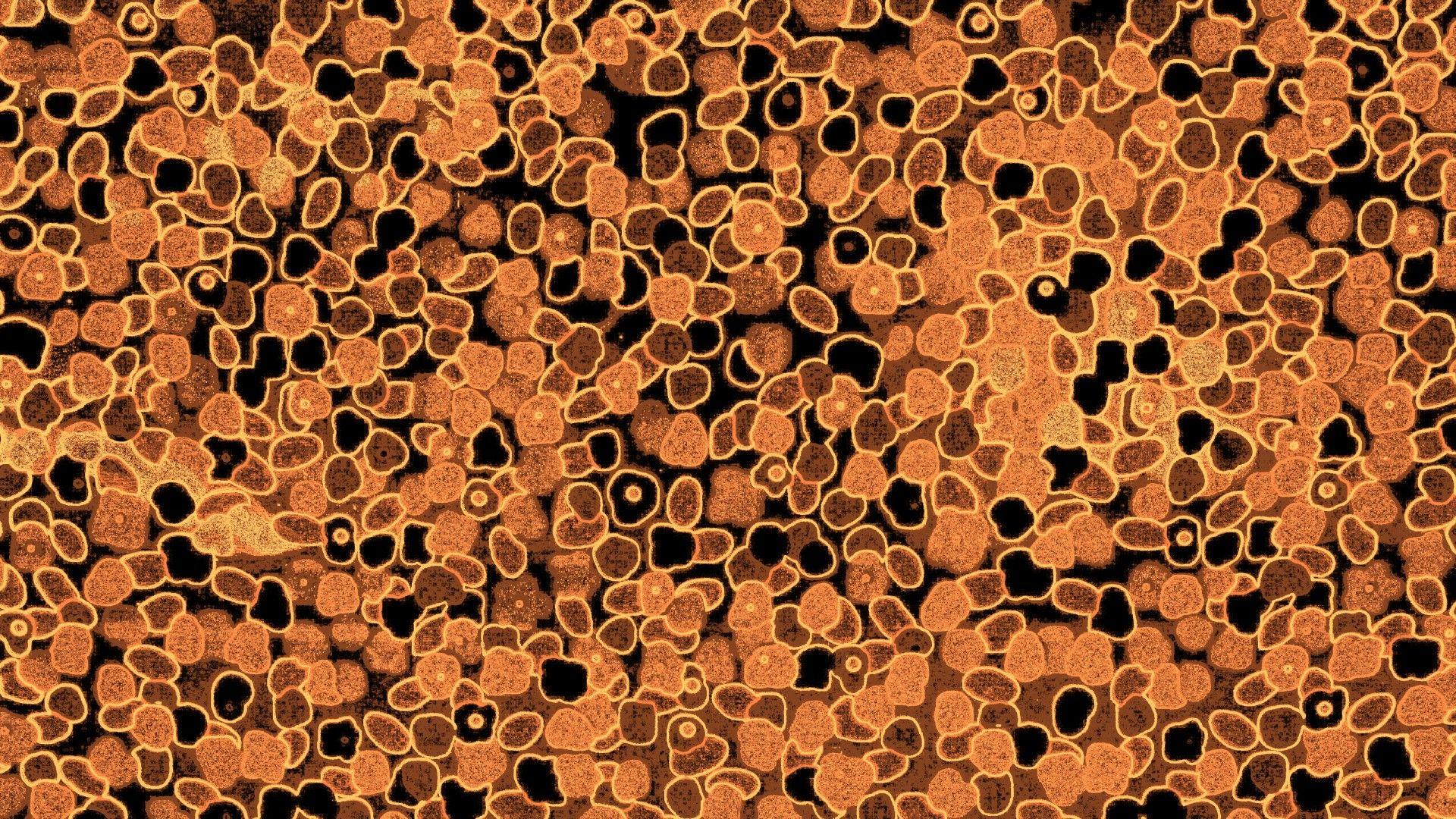 Brown Abstract Wallpapers - Top Free Brown Abstract Backgrounds ...