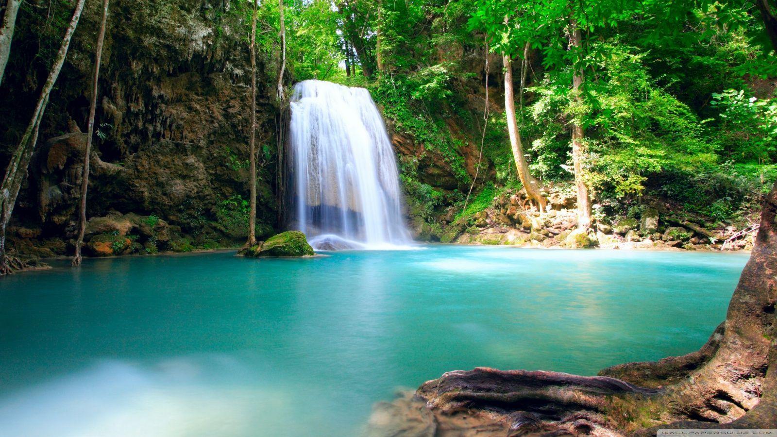 Forest Summer Wallpapers - Top Free Forest Summer Backgrounds ...