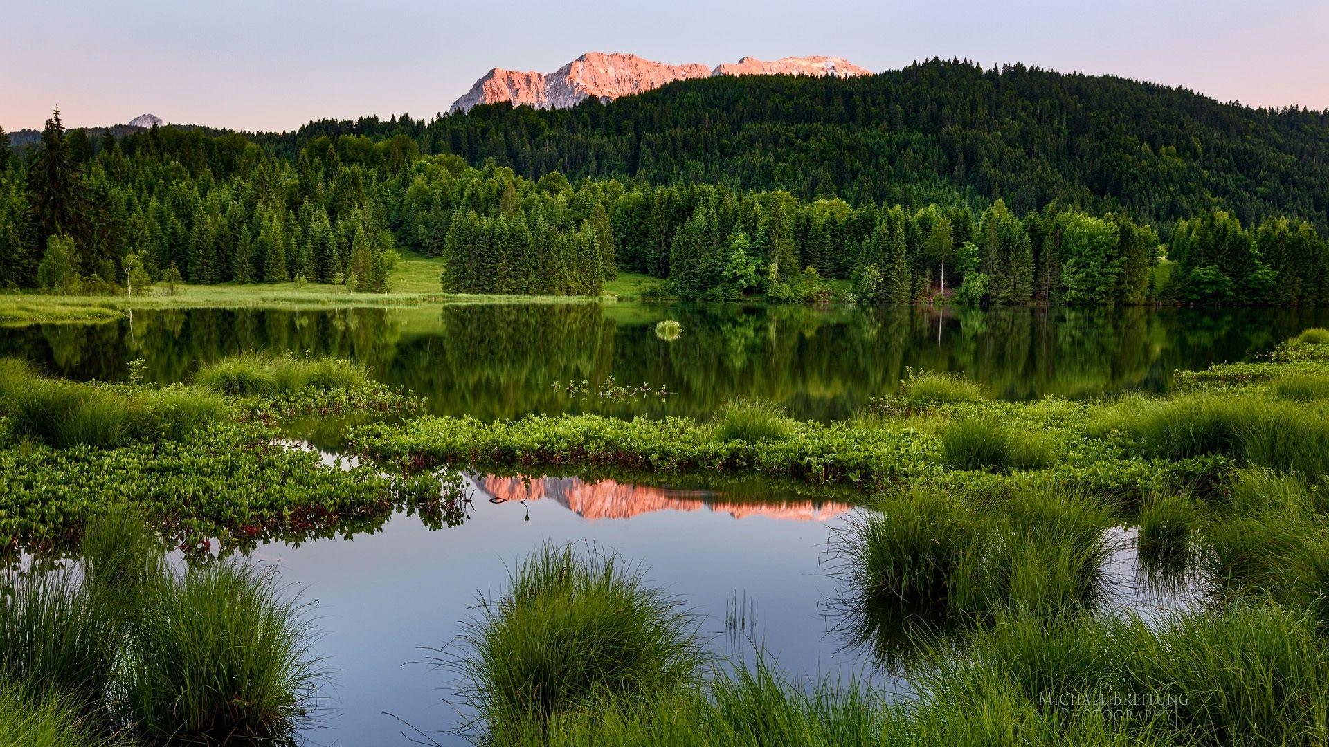 Forest Summer Wallpapers - Top Free Forest Summer Backgrounds ...