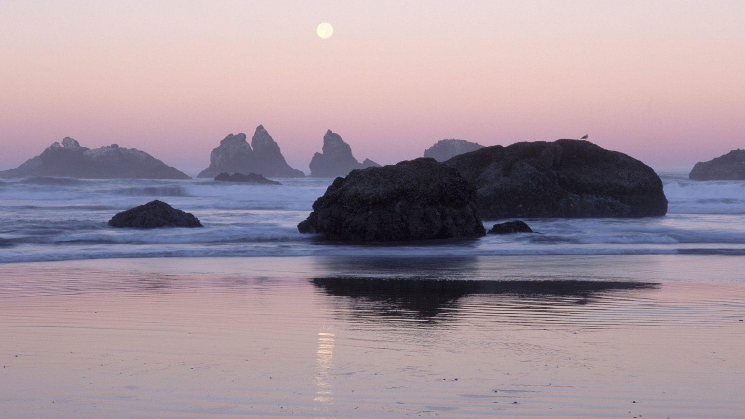 Oregon Beach Wallpapers - Top Free Oregon Beach Backgrounds ...