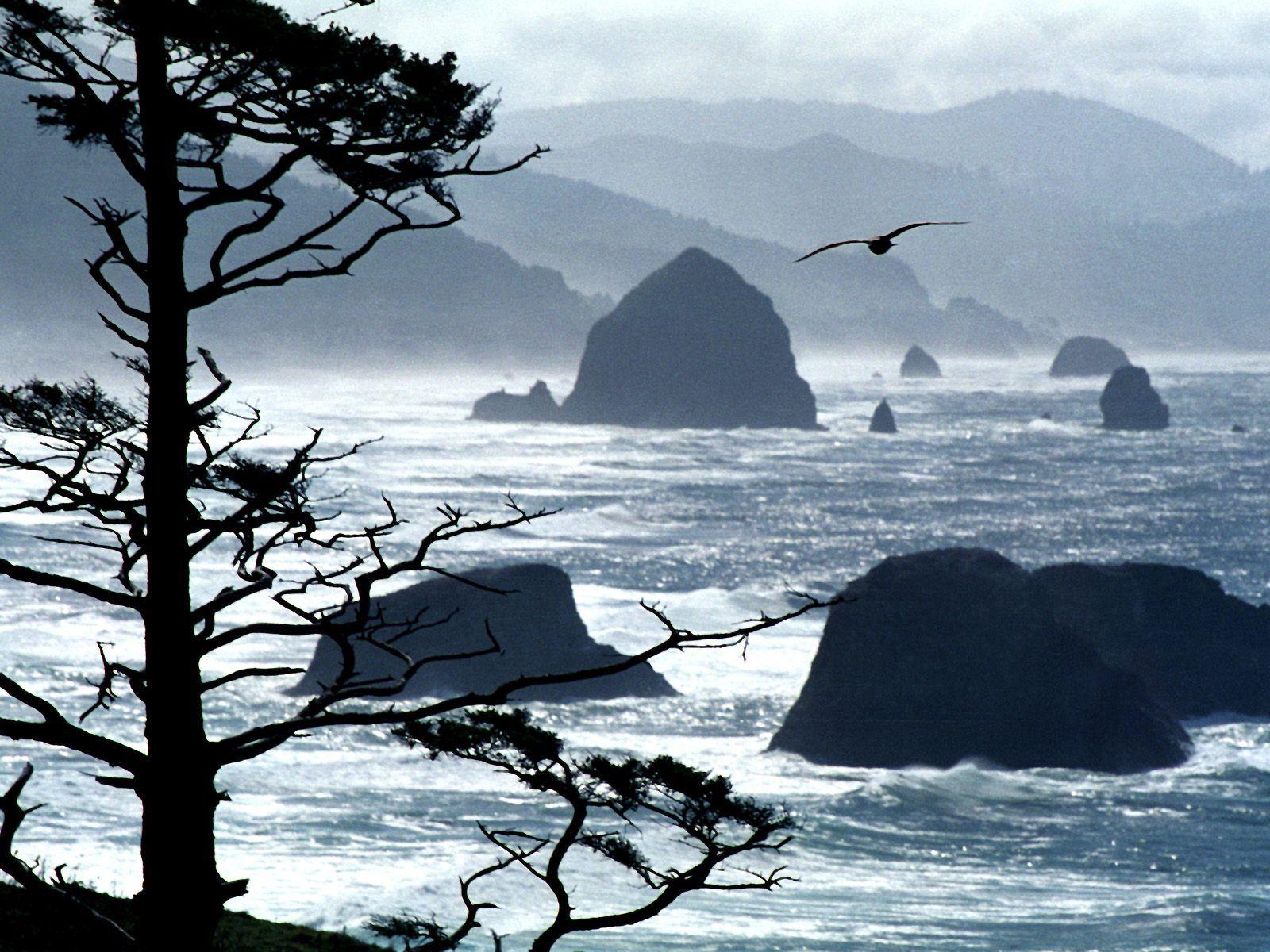 Oregon Beach Wallpapers - Top Free Oregon Beach Backgrounds ...