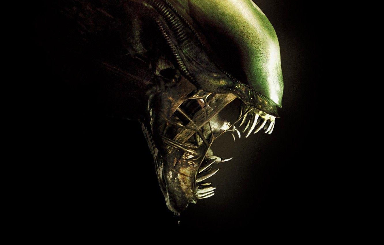 Alien Head Wallpapers - Top Free Alien Head Backgrounds - WallpaperAccess