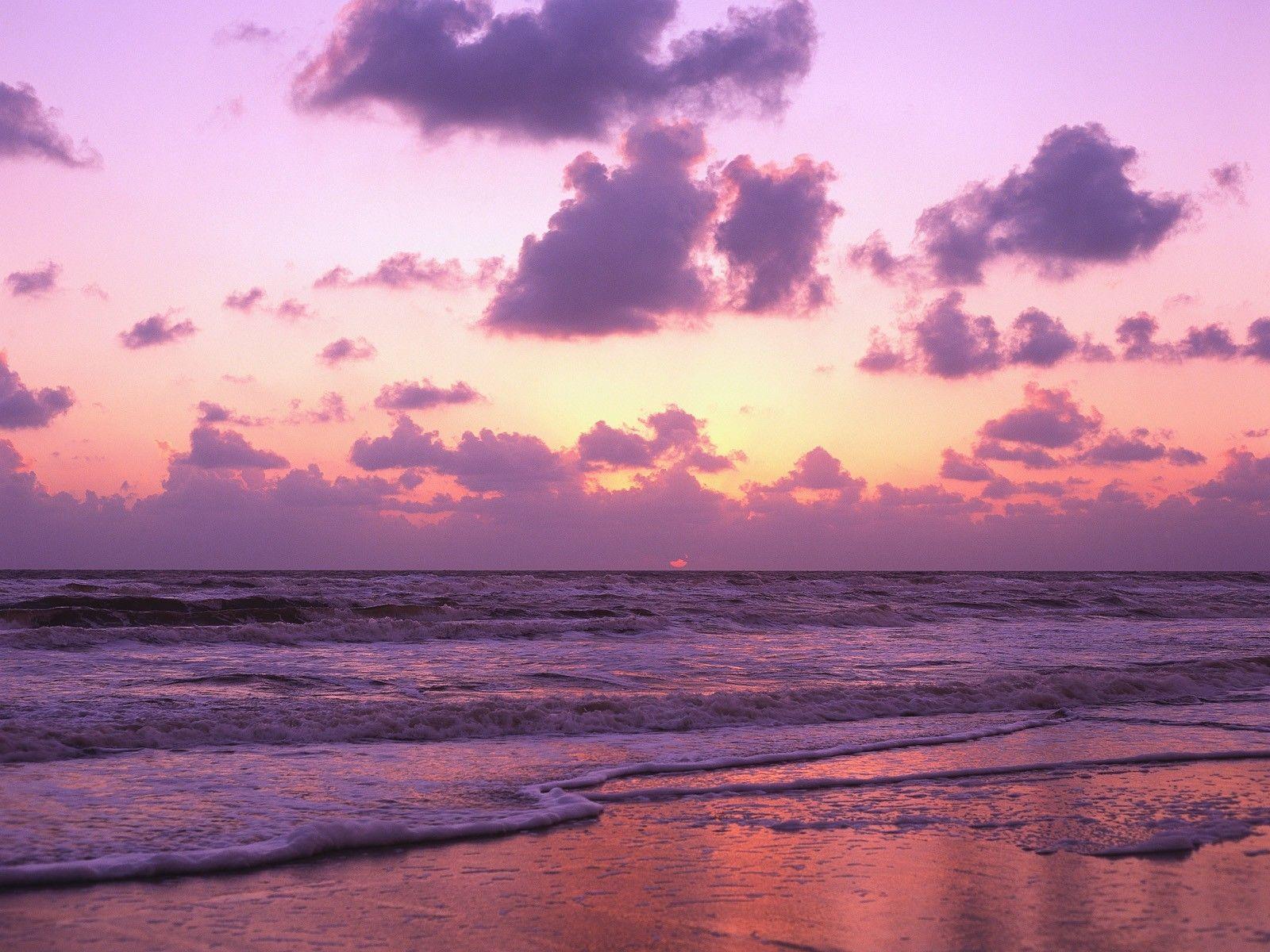 Florida Wallpapers - Top Free Florida Backgrounds - WallpaperAccess