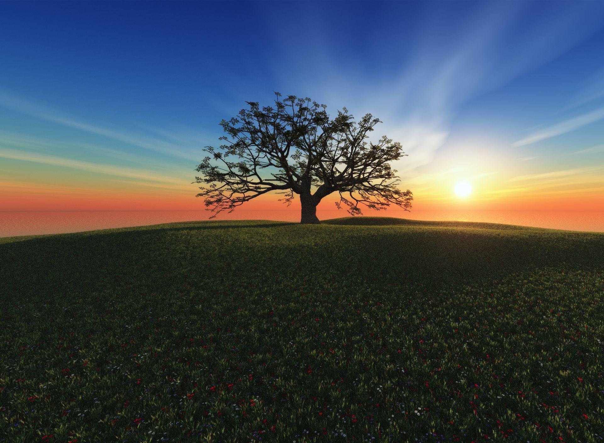 English Cool Wallpapers - Top Free English Cool Backgrounds ...