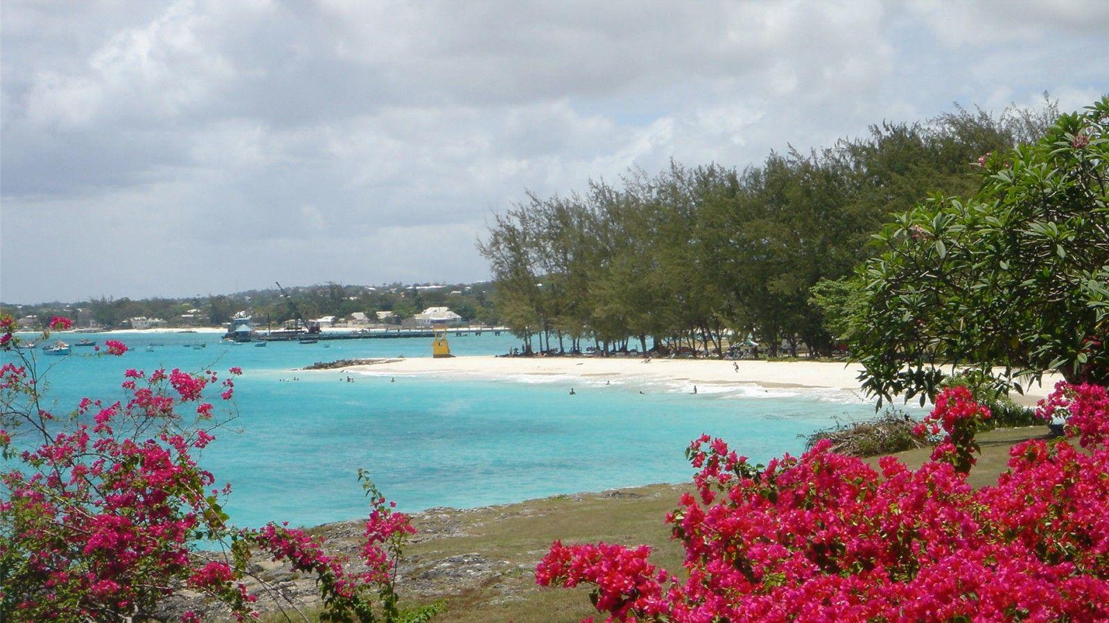 Florida Wallpapers - Top Free Florida Backgrounds - WallpaperAccess