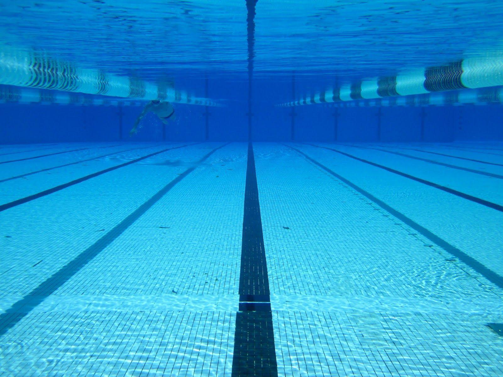 Swimming Underwater Wallpapers - Top Free Swimming Underwater ...